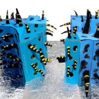 Biomimicry #01: Giant Tiger Prawn on the Rocks – Interior